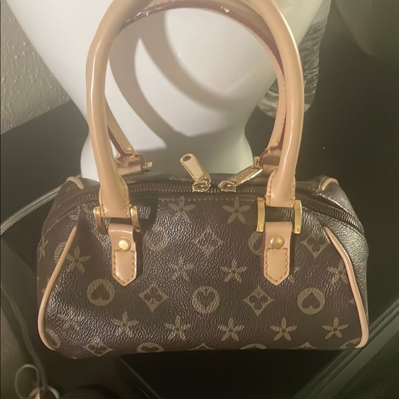 lany | Bags | Chic Brown Mini Bag | Poshmark